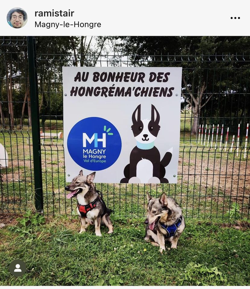 Du nouveau au parc canin – BIEN VIVRE A MAGNY